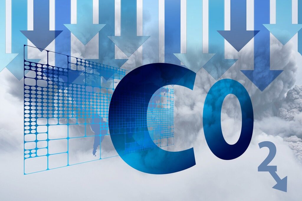 Voluntary Carbon Market 2026: Key Trends Shaping the Future of Climate ...